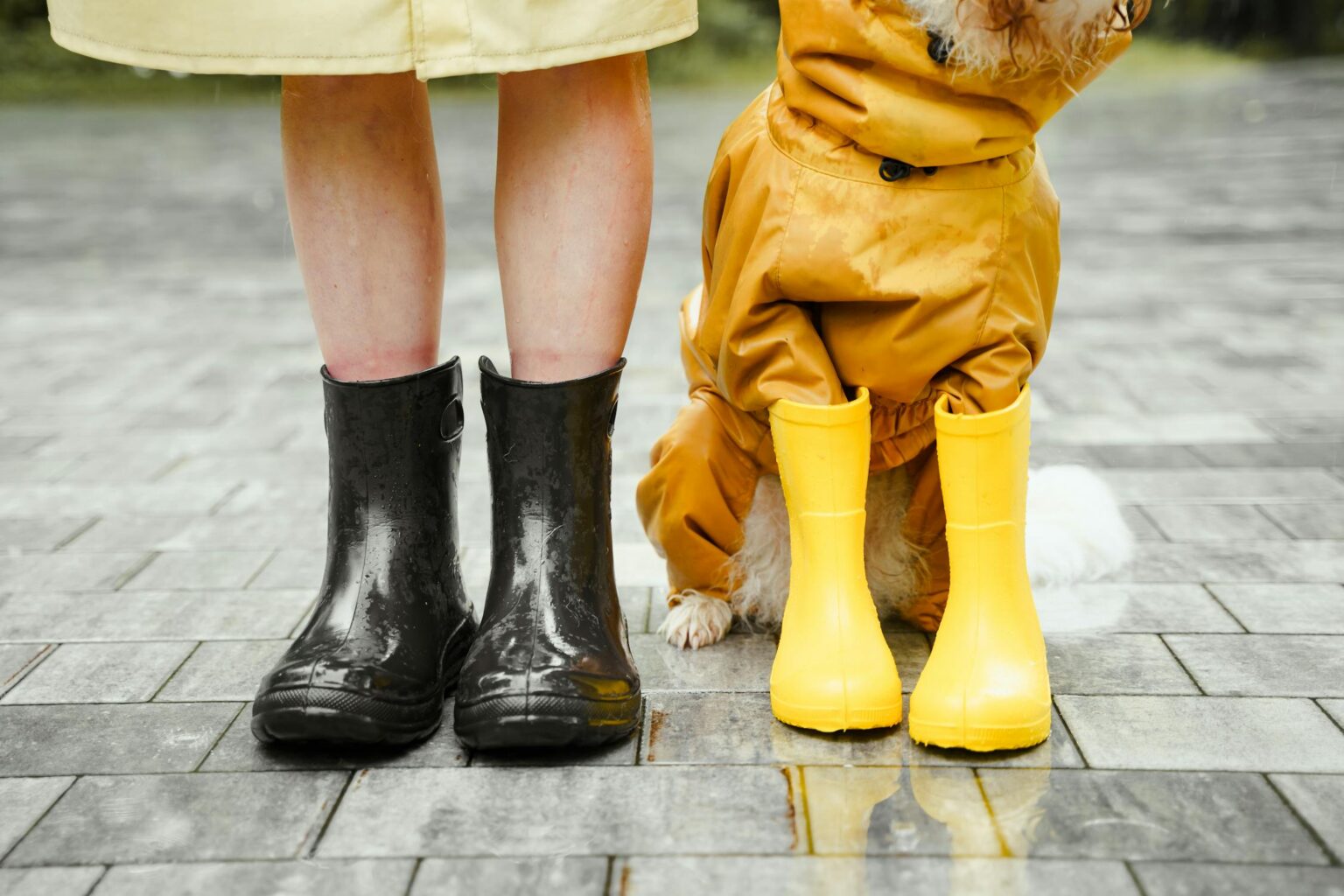 Seasonal Fashion Tips for Seattle: Navigating Style in a City of Rain ...
